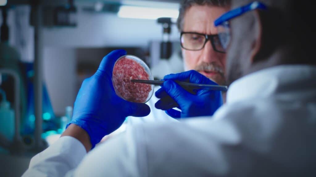 Navigating the Future of Lab-Grown Meat – SOFX