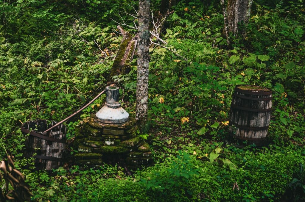 The Pioneering Women Bootleggers of Prohibition – SOFX