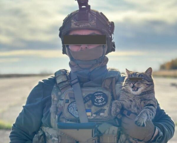 Ukraine’s Ministry of Defense shares Photo of "Special Forces Cat" – SOFX