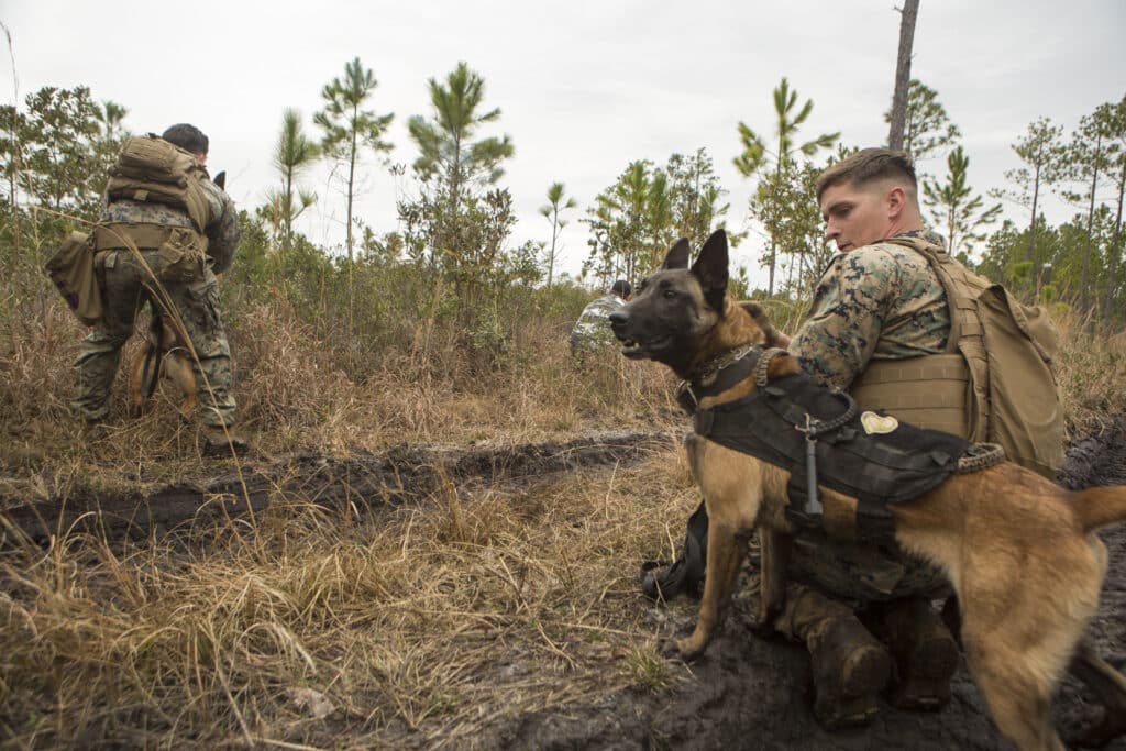 Images Emerge Showing Canadian JTF2 Deployed to Secure Embassy in Haiti ...