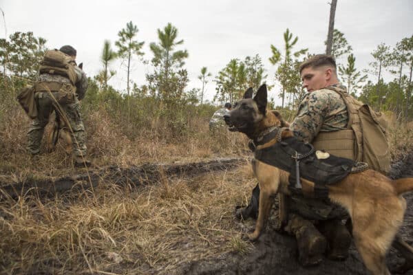 Images Emerge Showing Canadian JTF2 Deployed to Secure Embassy in Haiti ...