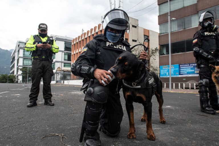Ecuador Recaptures Most Wanted Fugitive Gang Leader ‘Fito’ – SOFX