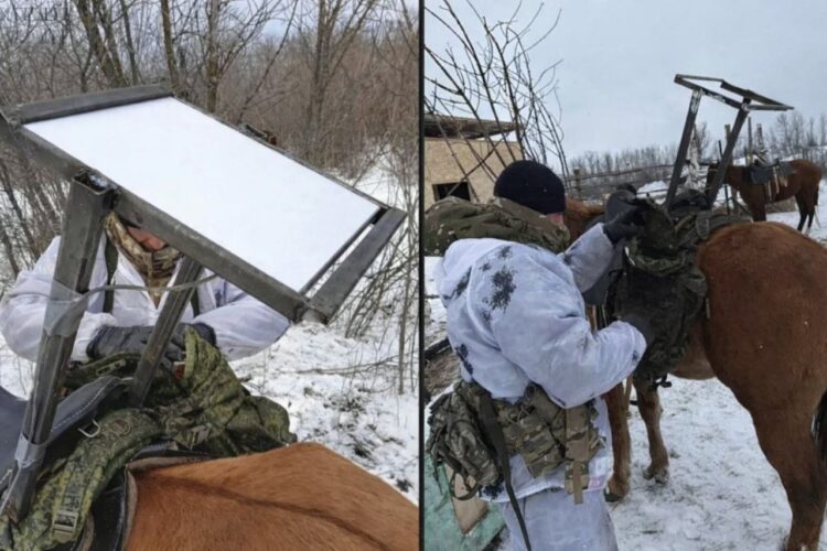 Russian Military Uses Horses to Carry Starlink Terminals at Frontlines ...