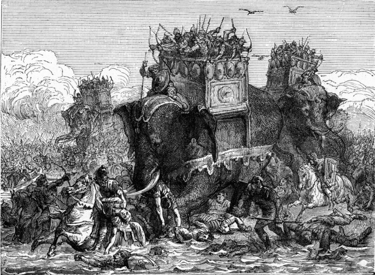 Ancient Elephant Bone Discovered in Spain Linked to Hannibal's Army – SOFX
